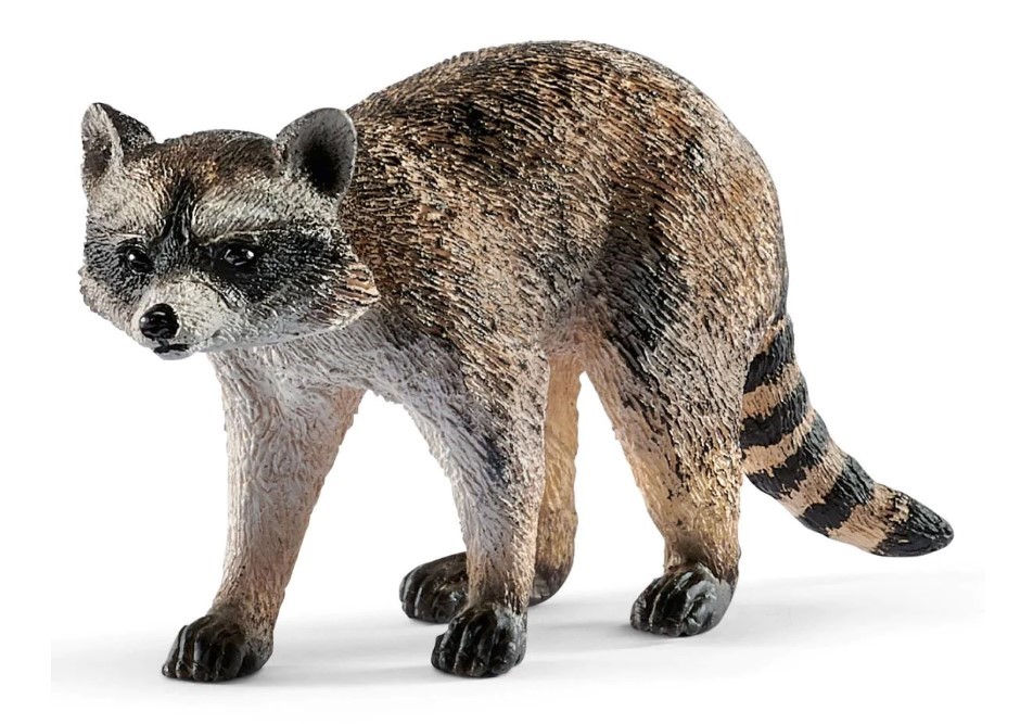 RATON LAVEUR | Passe-Temps 3000