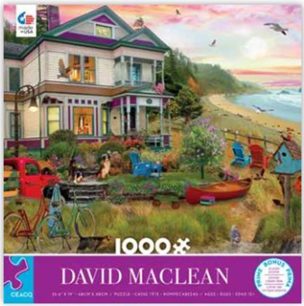 DAVID MACLEAN - AU BORD DE LA PLAGE - 1000 mcx | Passe-Temps 3000