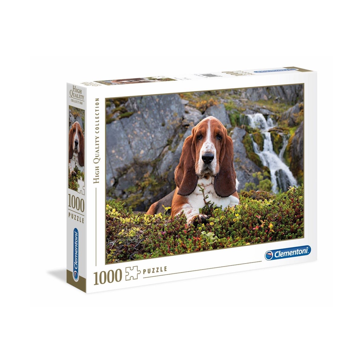 CHARLIE BROWN - 1000 mcx | Passe-Temps 3000